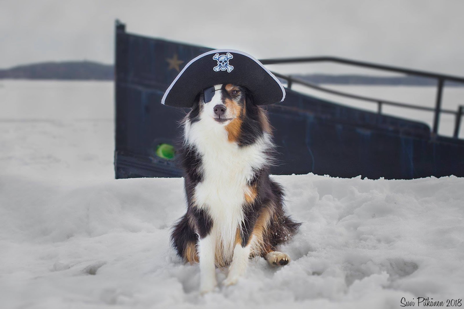 Kuono kirjassa: Olipa kerran visentti ja merirosvo eli ei ihan ...