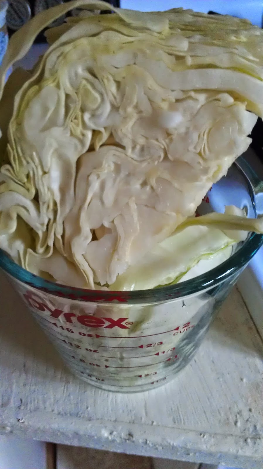 Fanny and Me: Squash and Cabbage Saute