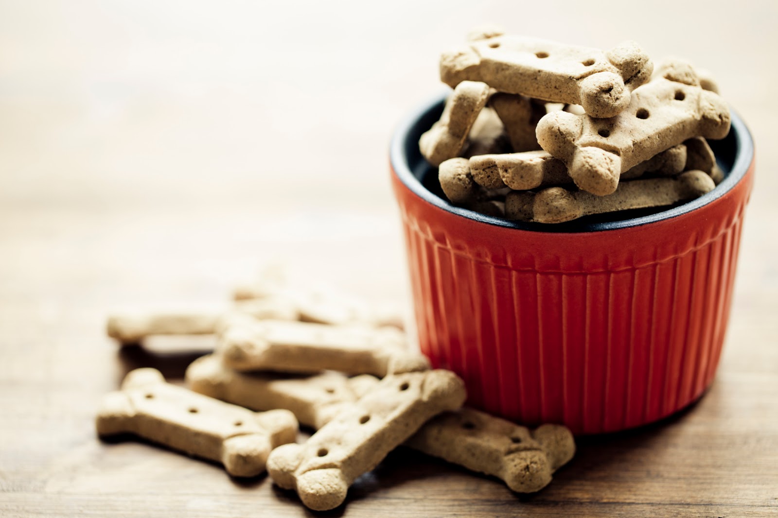 Bregman Veterinary Group Dog Biscuit Recipes For Dog Biscuit bregman-veterinary-group-dog-biscuit-recipes-for-dog-biscuit