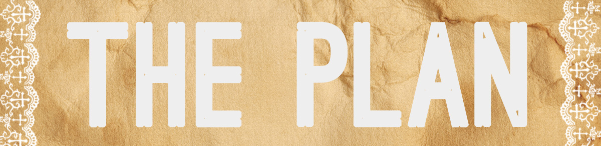 Favor the Brave: the plan