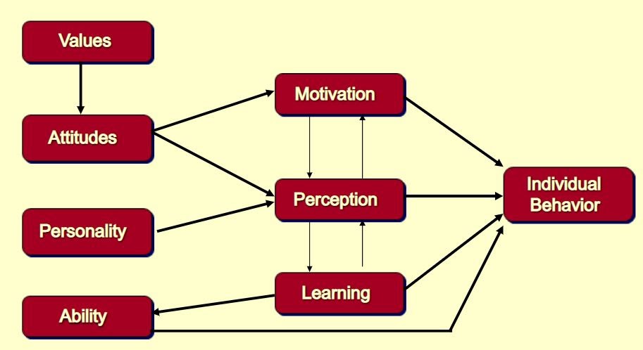 Influence of Individual Factors on Human Behaviour