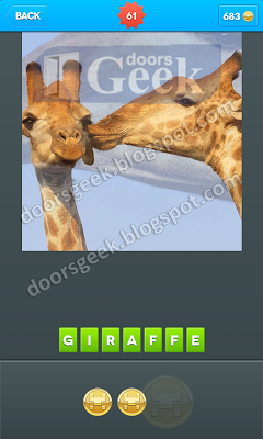 Zoomed In - Photo Word Game Level 61 ~ Doors Geek