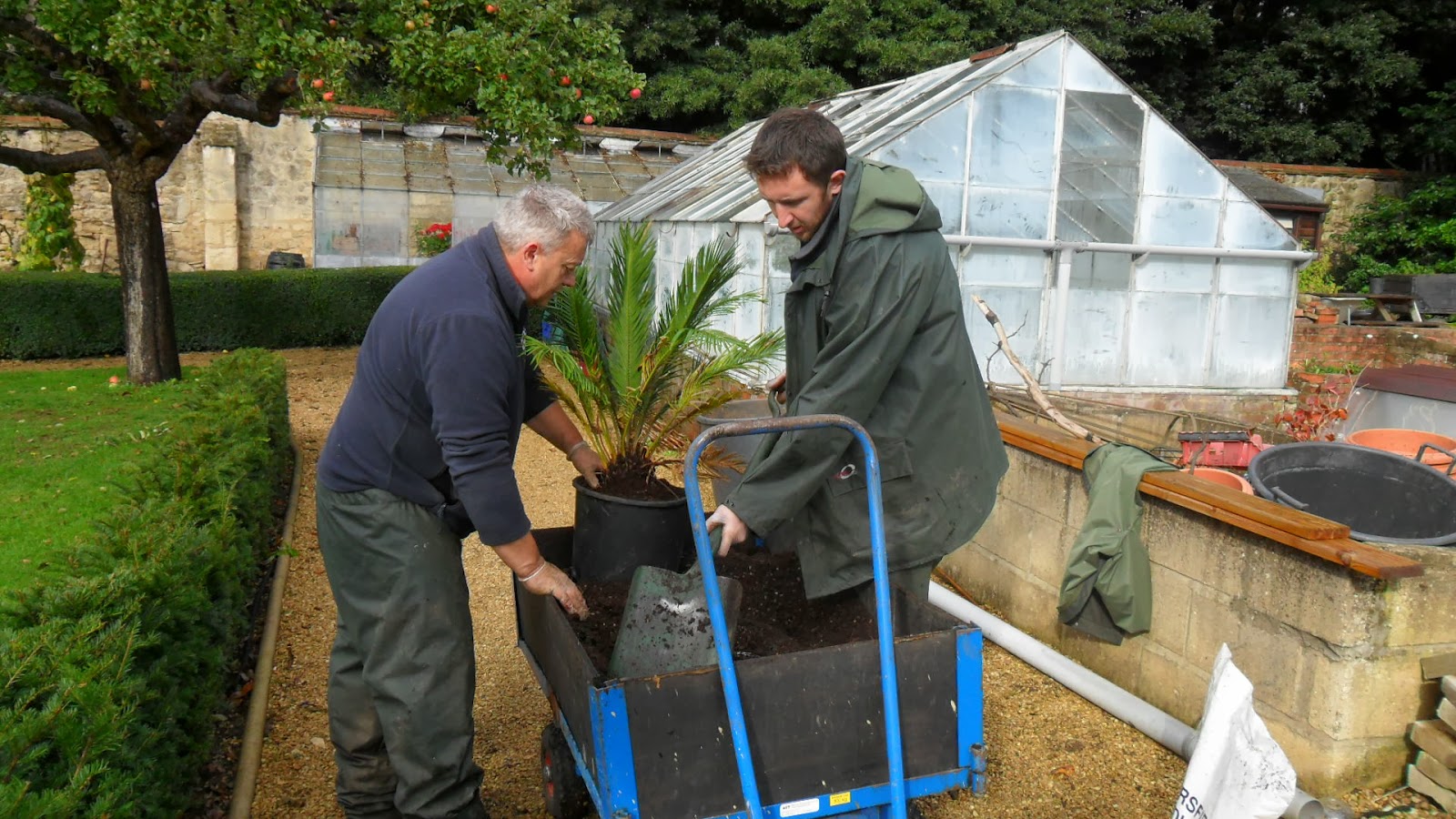 Worcester College Gardeners 2009-2018: The Dappled Shade Planting Comes ...