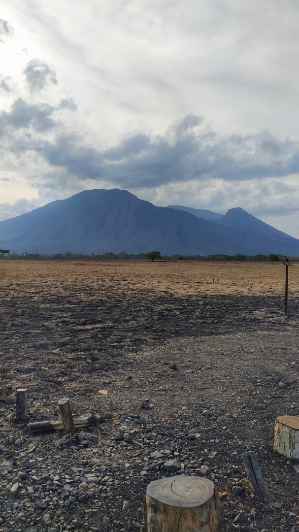 A Trip To Banyuwangi: Eksotisnya Taman Nasional Baluran | A Lifelong ...
