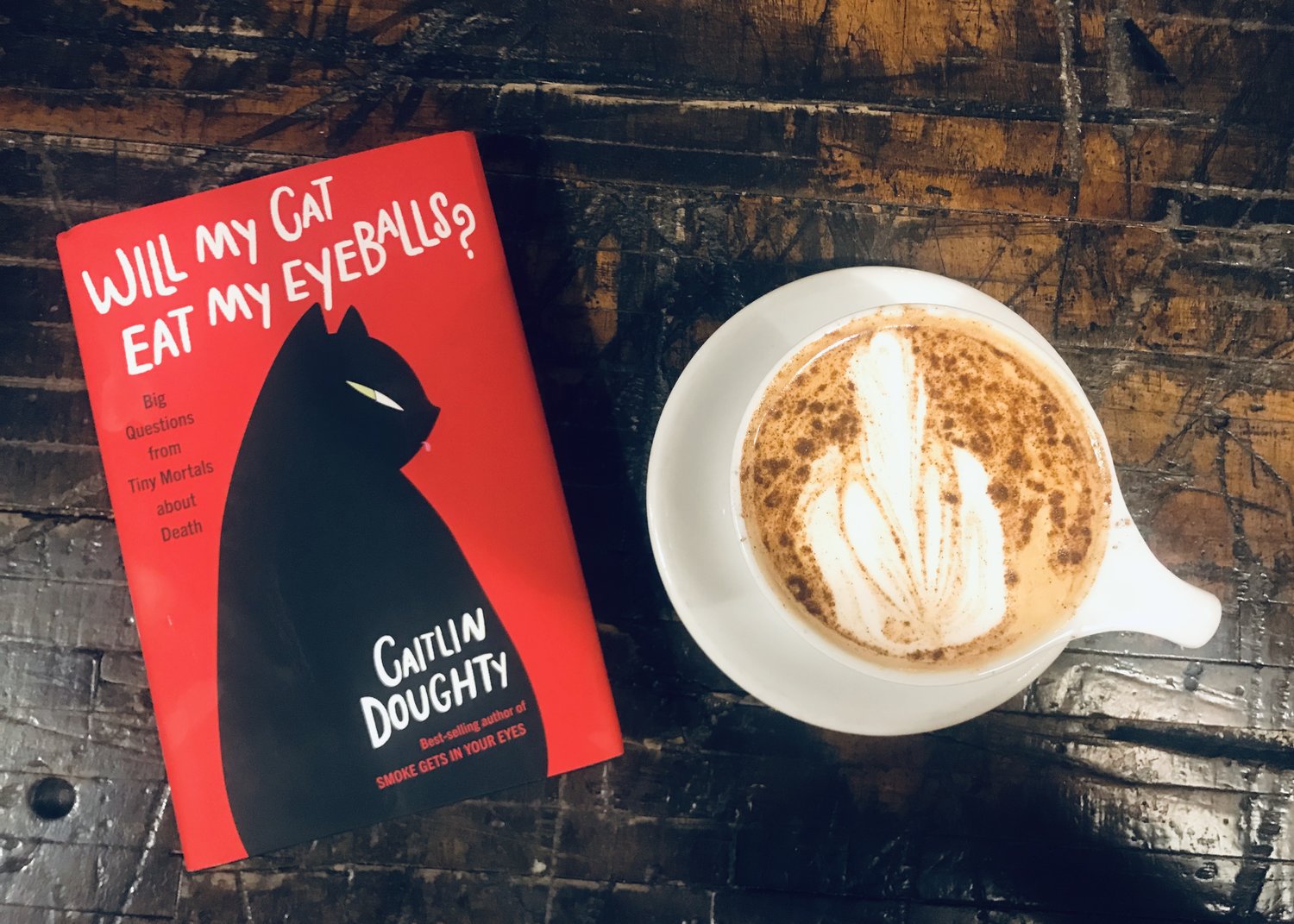 Hablemos de Libros; Will My Cat Eat My Eyeballs