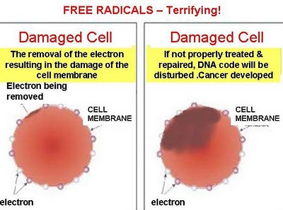 Science Doing: Free Radicals: Cause And Concern