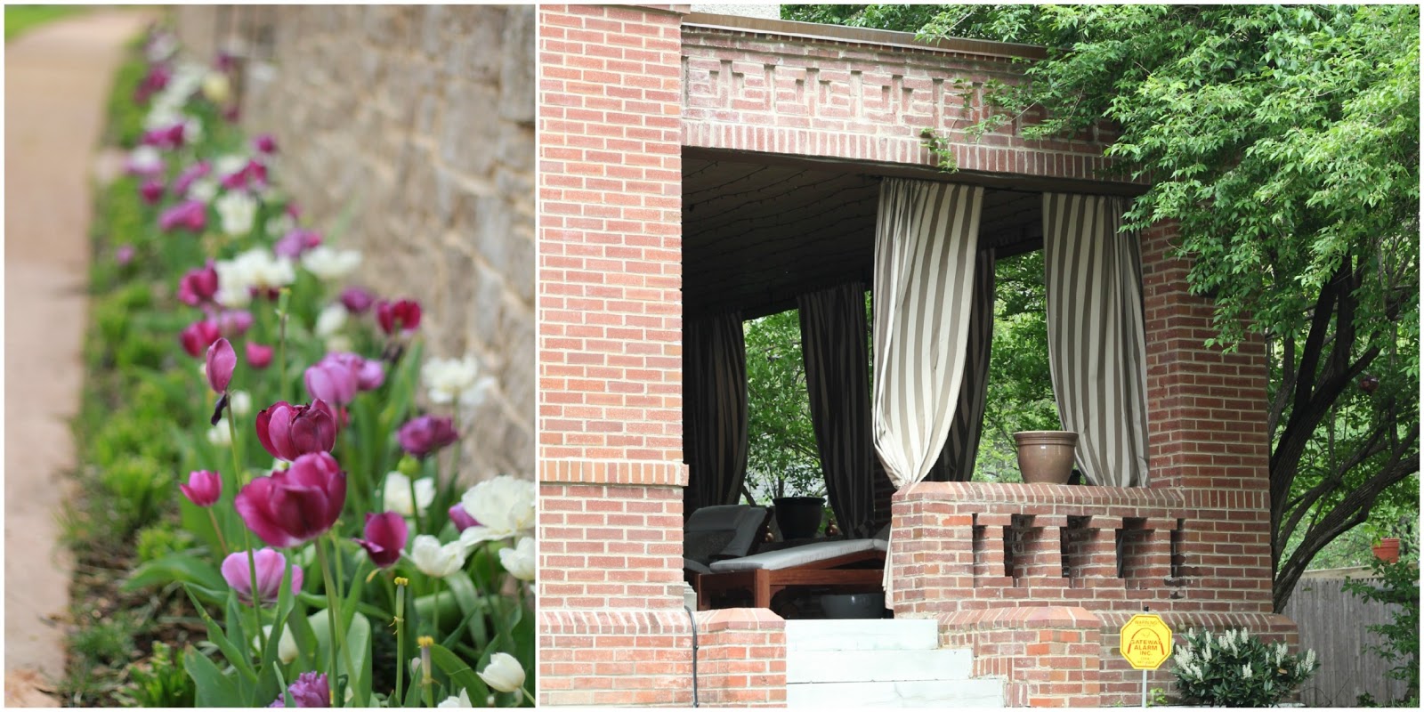 Musings: St. Louis Spring Garden Walk