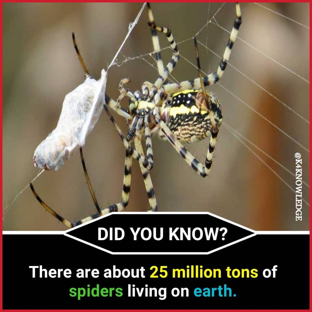 New Amazing Facts Collection Download With Images