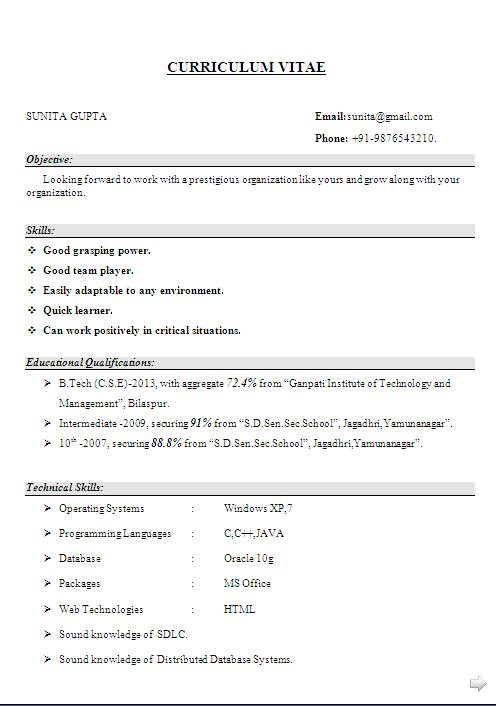 biodata word format free download