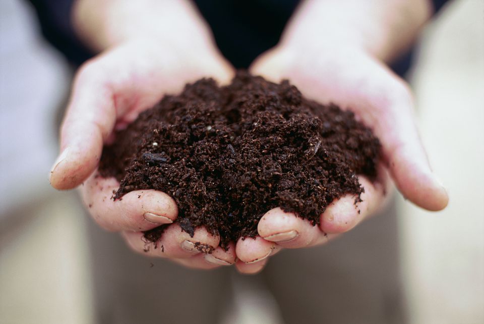 Broadford Year 3 4 Year 3 Need Your Soil broadford-year-3-4-year-3-need-your-soil