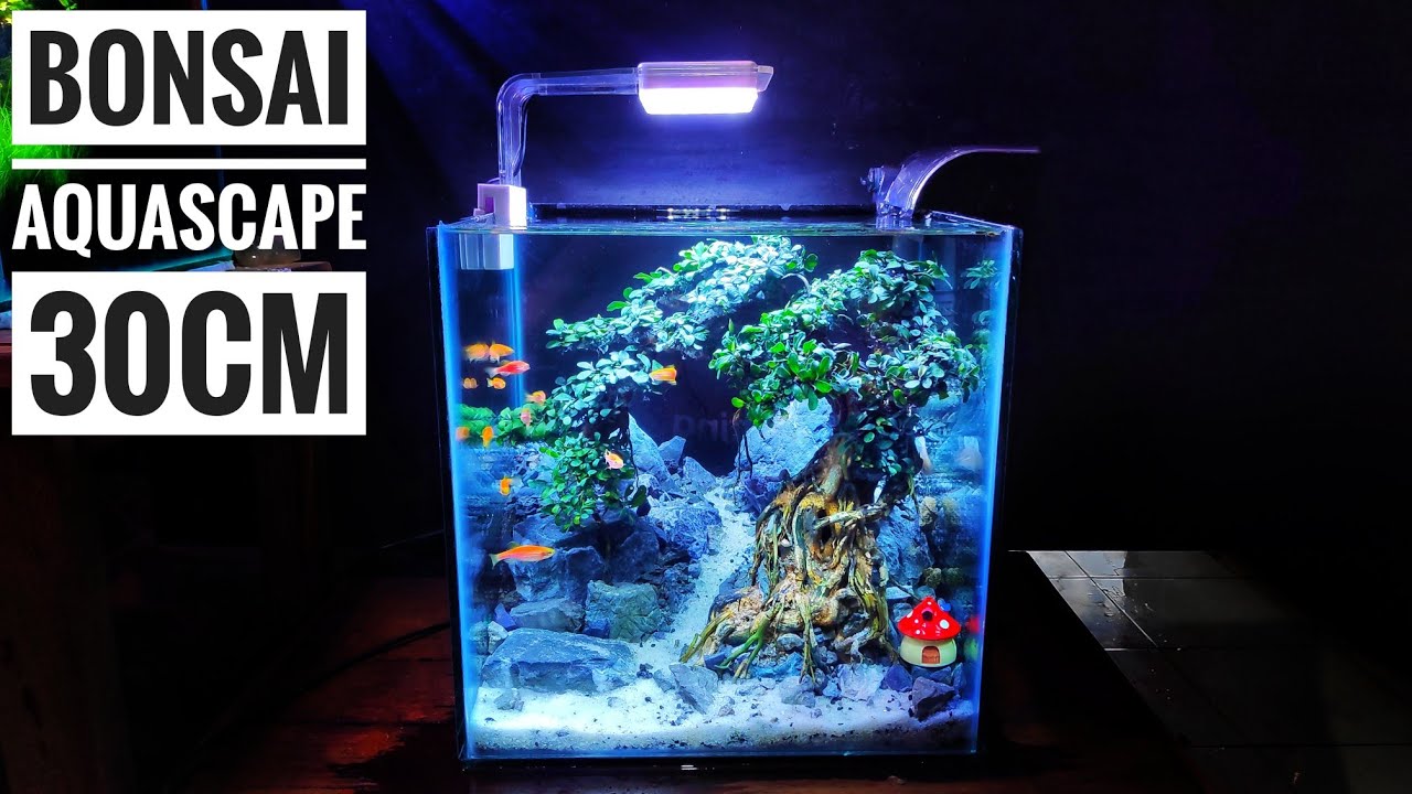 Contoh dan Referensi Desain Aquascape Mini Terbaik