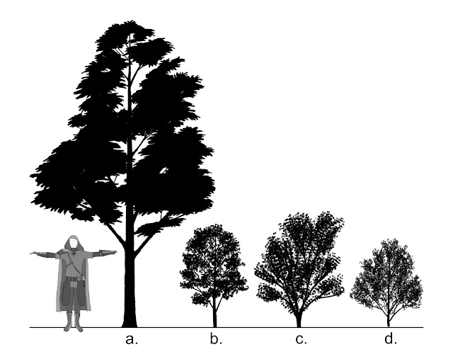 Fantastic Caytoniales and how to reconstruct them.