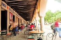 Día 204: El Colón mantiene helada a Merida ~ 365 Historias de éxito.