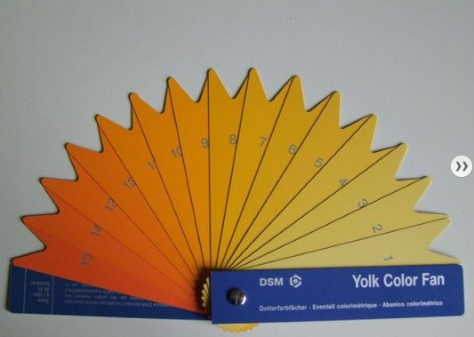 Influencing Egg Yolk Color