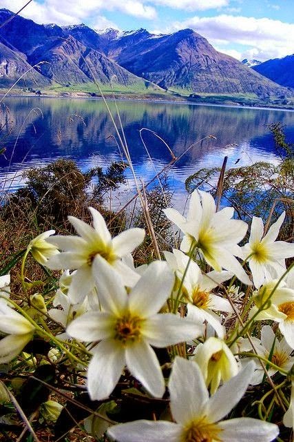 Amazing views ~ Stunning nature