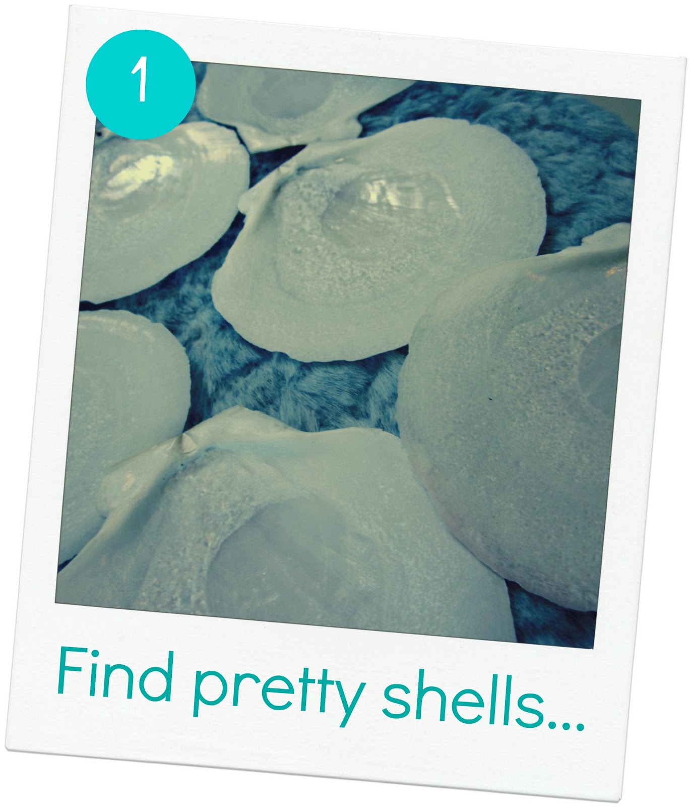 Mommys Pinkie Lipgloss: Pretty Shell Appetizer Plates
