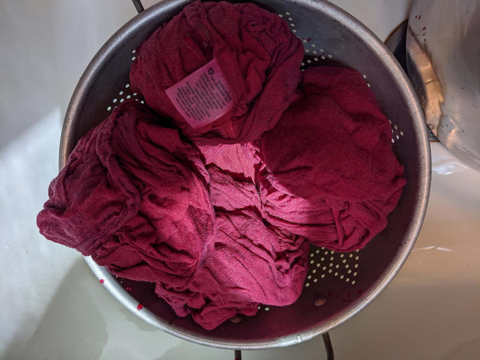 Eden By The Bay: Dye Project: Cochineal (Bugs!)