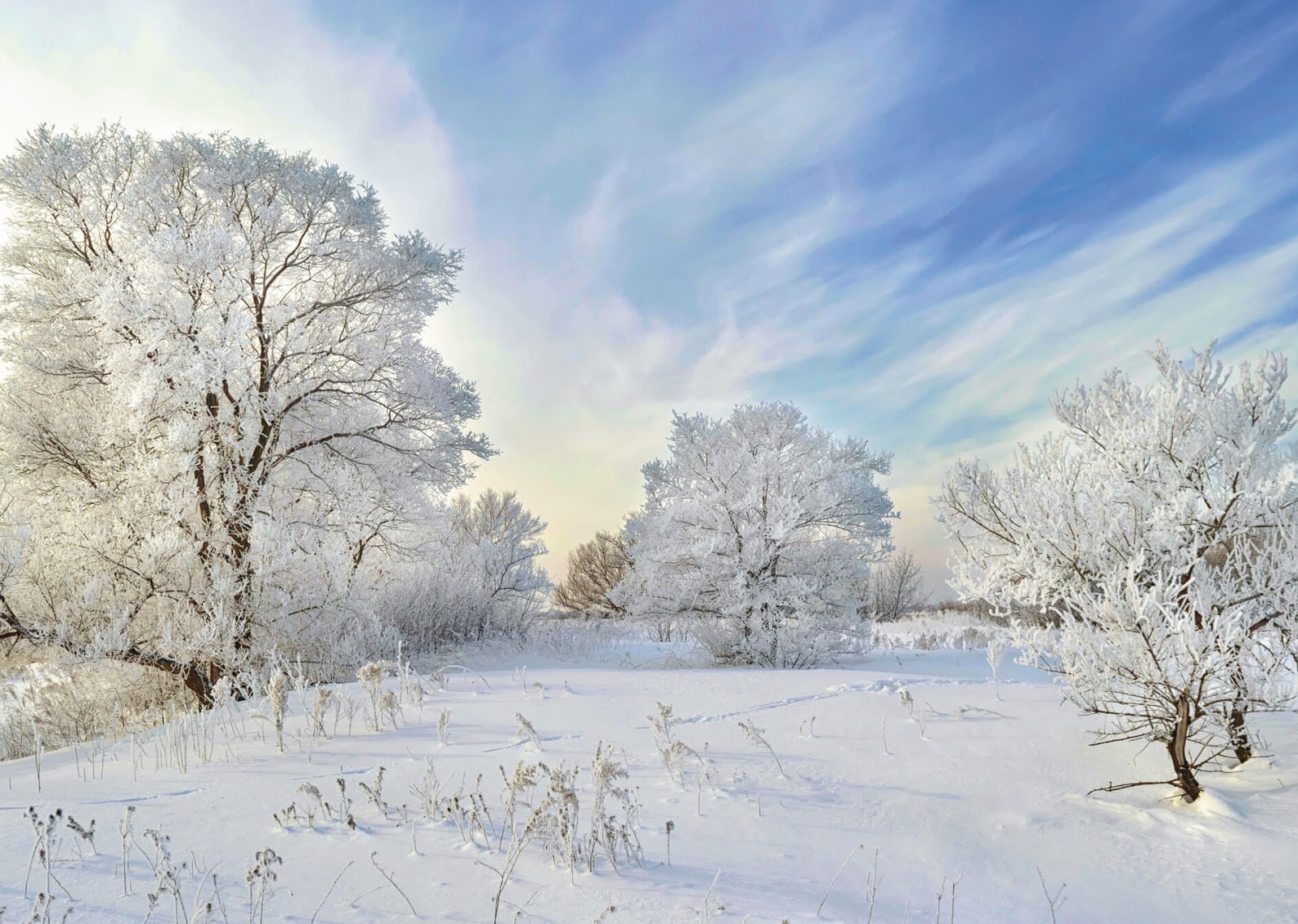 CARPE DIEM HAIKU KAI: Carpe Diem #1785 Hoarfrost (kigo for winter)