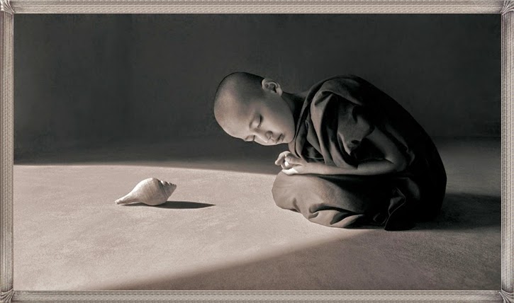 Ostáriz Art Gallery: Gregory Colbert
