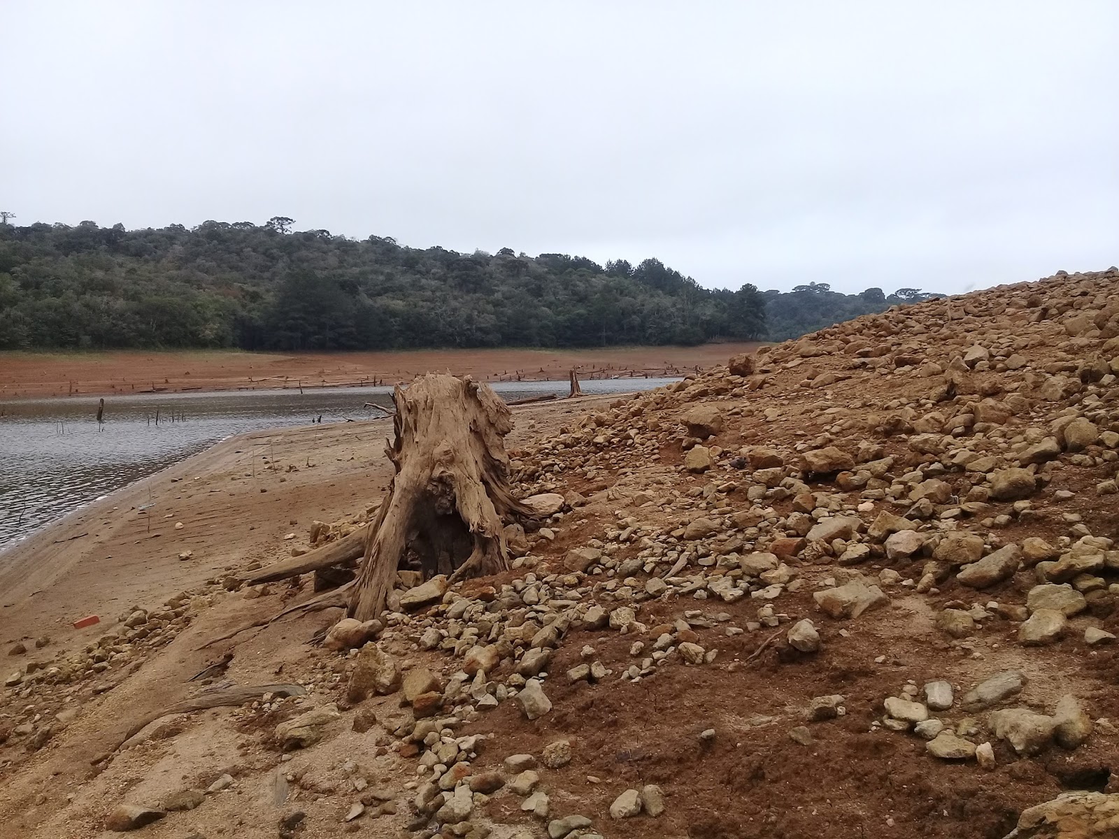 Prof. Fernando Bonato: Represa do Vossoroca - Tijucas do Sul - Paraná