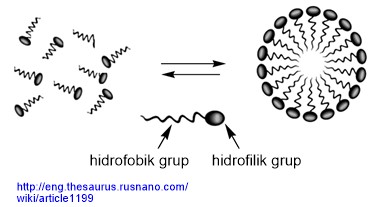 Prof. Dr. Bilsen Beşergil: Misel, Ters Misel, Kritik Misel ...