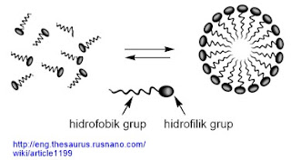 Prof. Dr. Bilsen Beşergil: Misel, Ters Misel, Kritik Misel ...