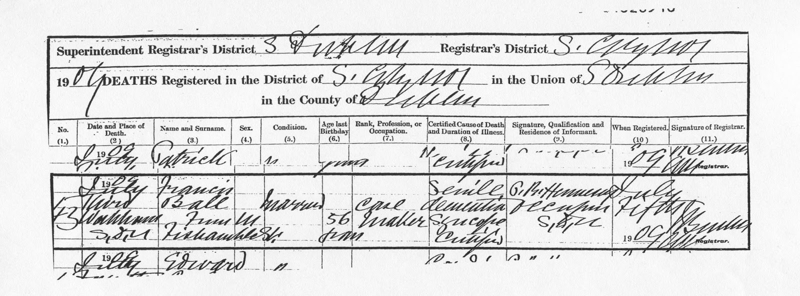 'On a flesh and bone foundation': An Irish History: The Certificate ...