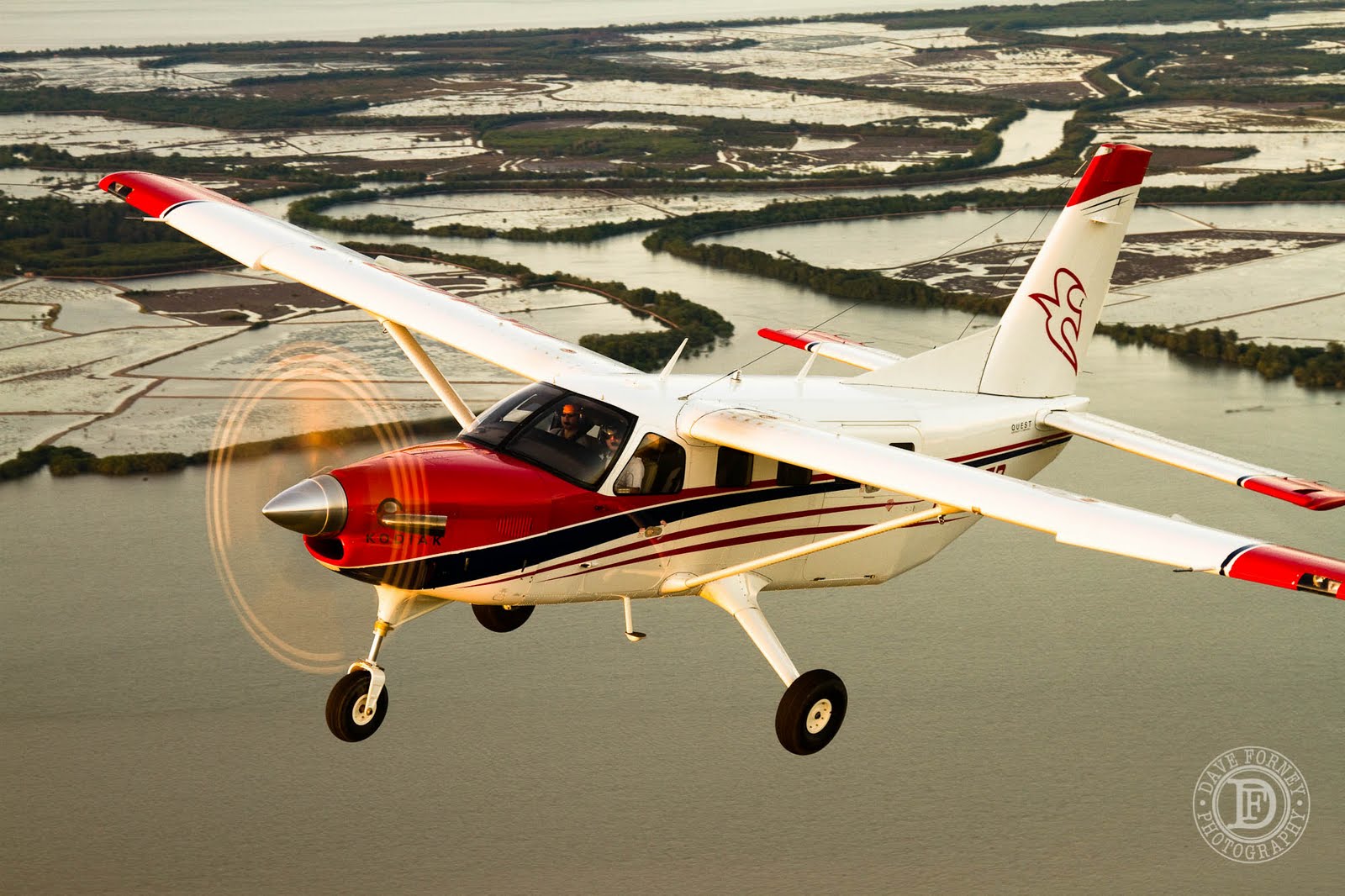 military - Why did WWII prop aircraft have colored prop tips ...