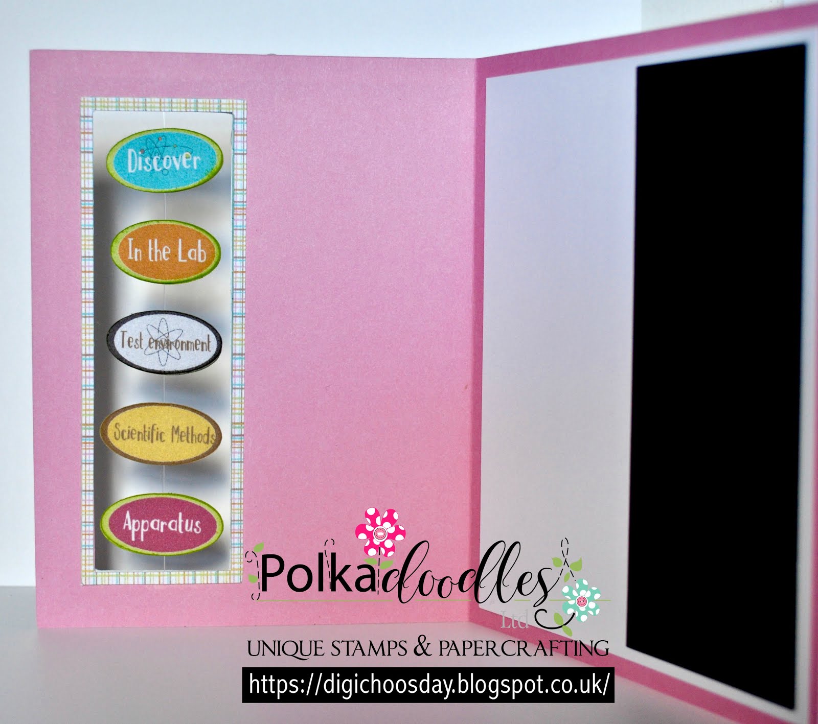 ~ ScrappyHorses ~: Spinning Science!