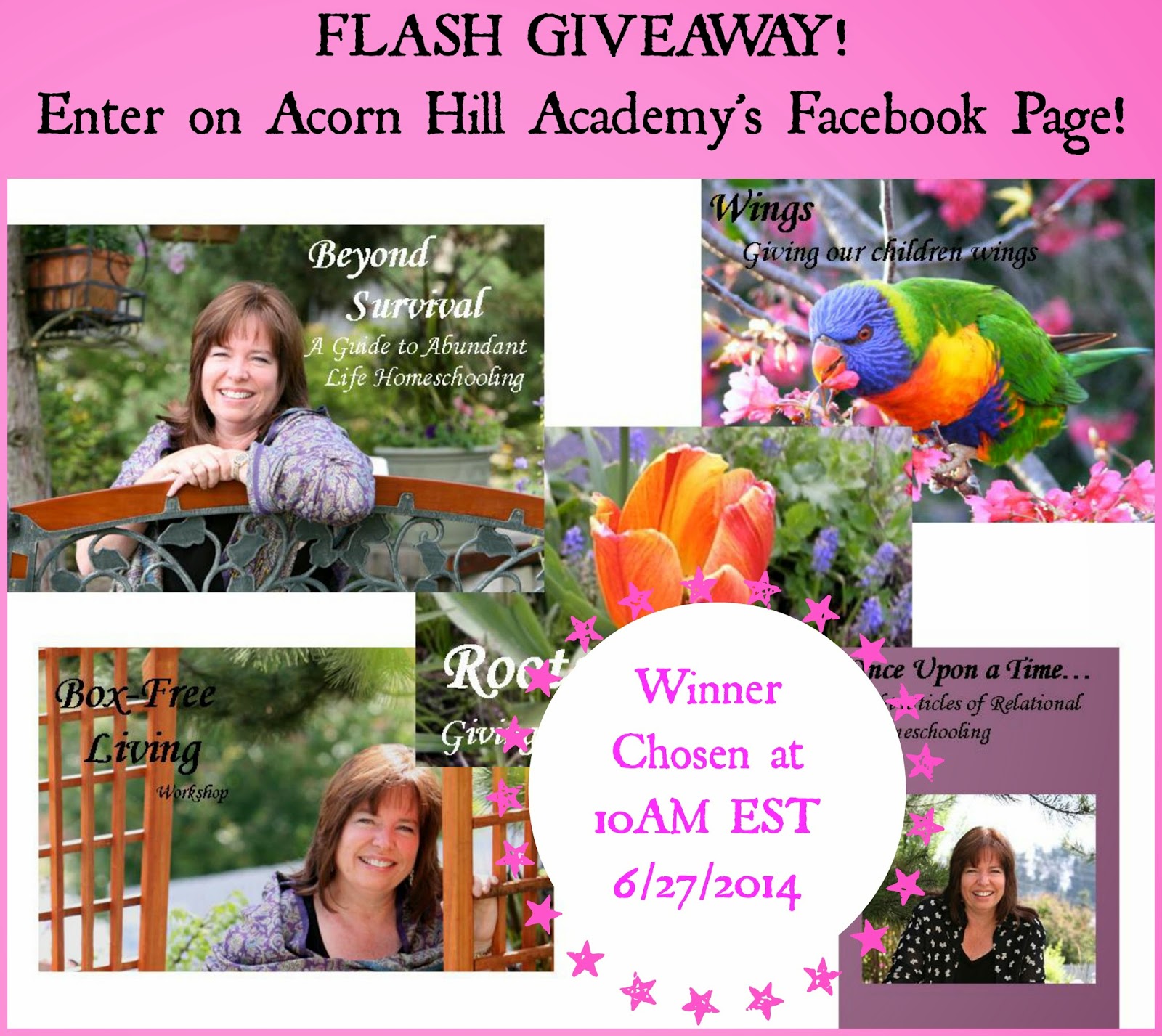 Acorn Hill Academy: FLASH GIVEAWAY: Homeschool Encouragement Collection ...