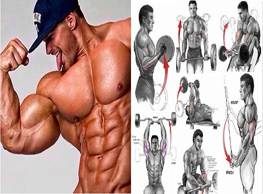 The 12 Best Bicep And Tricep Exercises For Mass Bodybuilding110