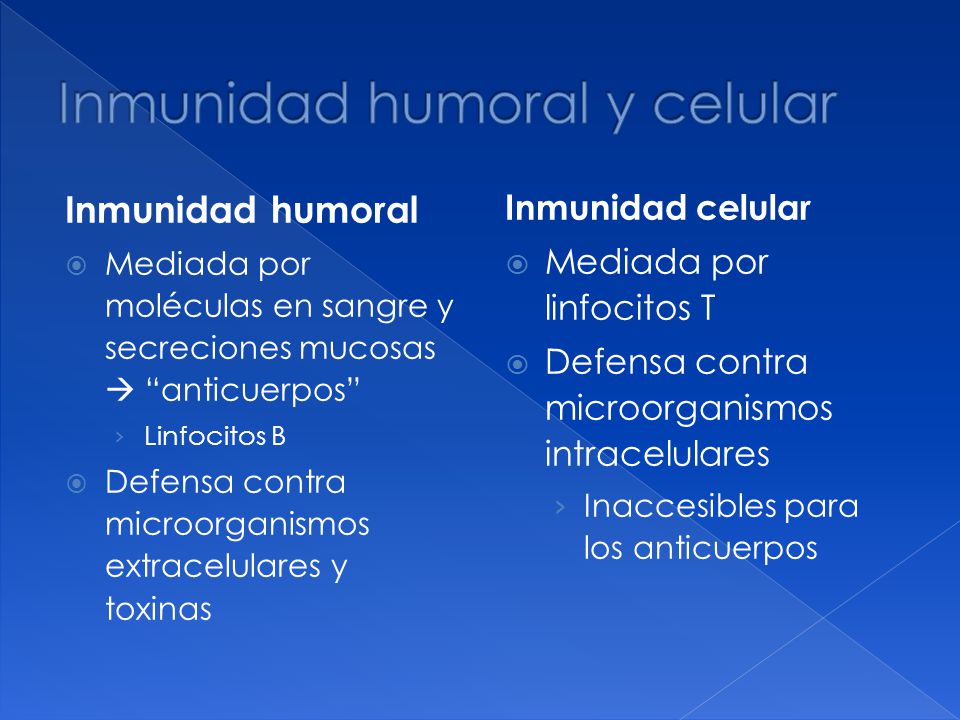 Javier Marco Castellot: abril 2021