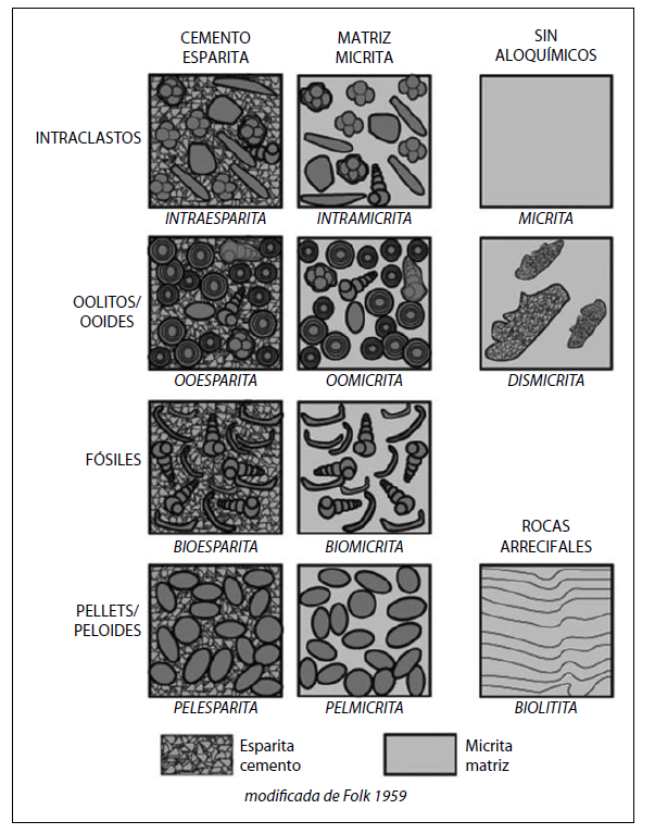 Sedimentos y rocas carbonatadas