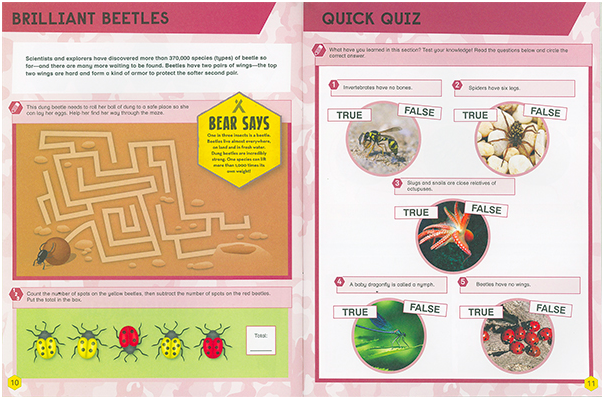 Thematic Learning: Insects & Bugs