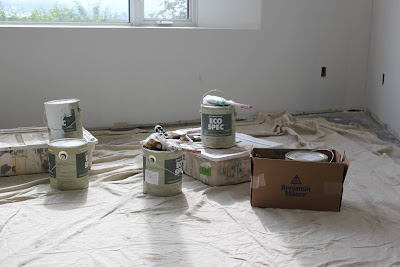 Chasing Net Zero: A World in Colour with Eco Spec Paint