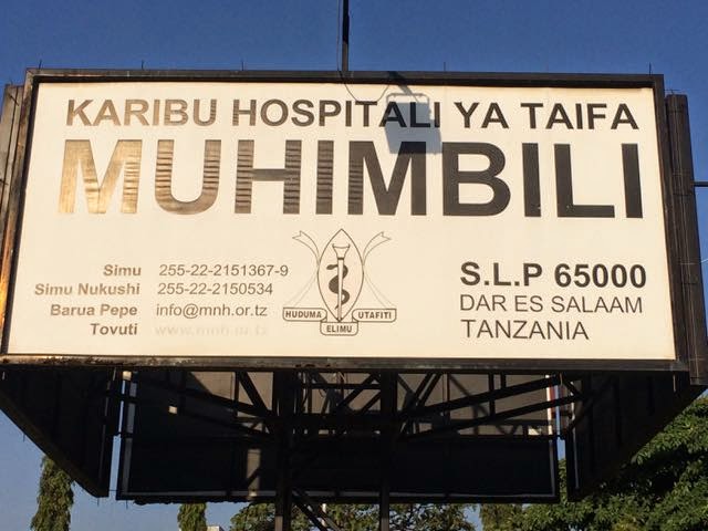 A Year in Dar: Muhimbili National Hospital