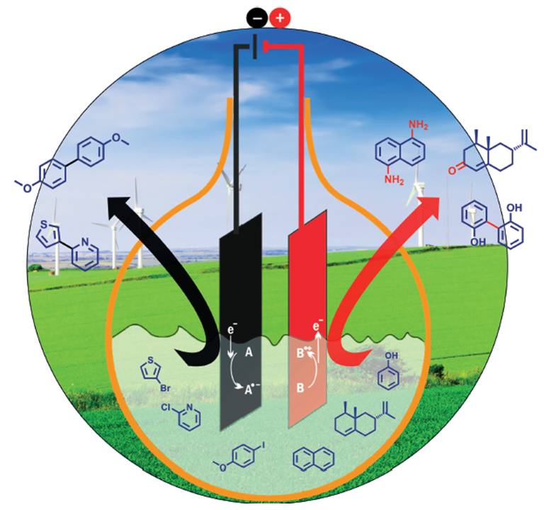 Figure1. The schematic diagram of some of the organic compounds is ...