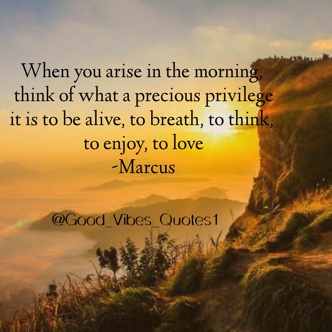 30+ Best Good Morning Quotes To Enlighten Your Day
