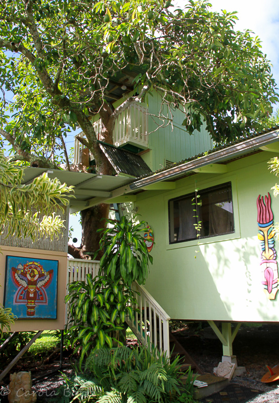 carola bARTz: Avocado Tree House