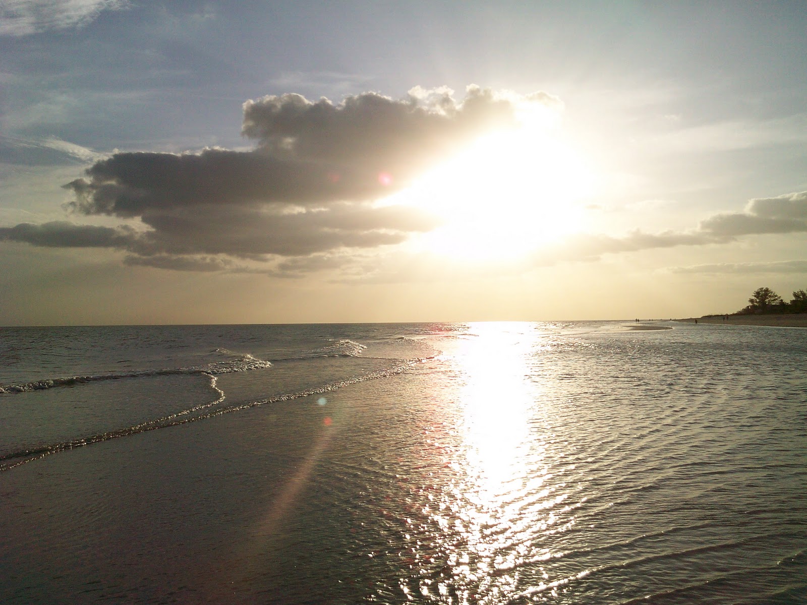 MyHodgePodgeLife: Things that rise and fall…