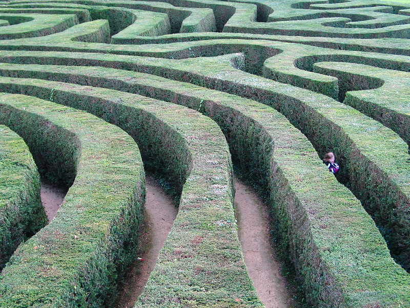 Hedge Maze – Longleat