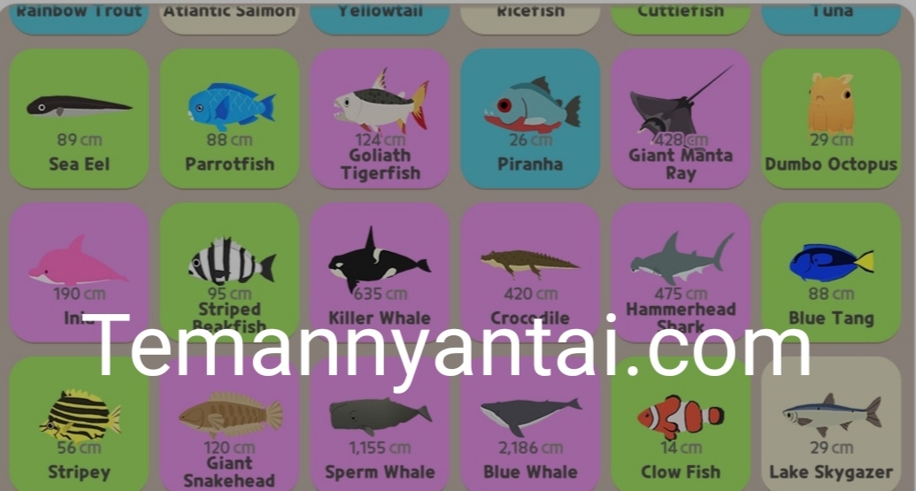 Play Together : Tips for Catching Legendary / Rare Fish. Guide For Newbie