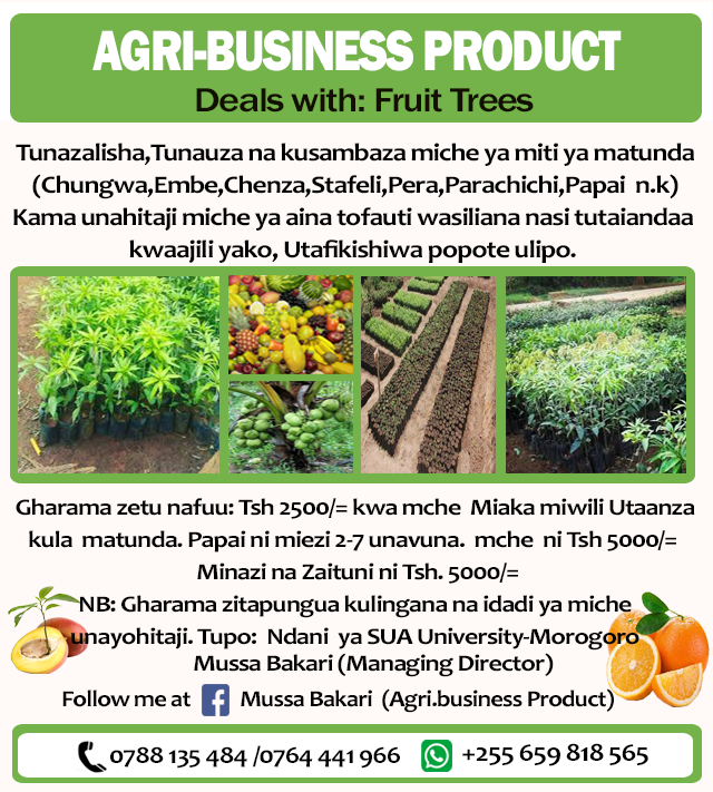 BIASHARA YA MICHE YA MITI YA MATUNDA- AGRI-BUSINESS PRODUCT - Maishakiasi