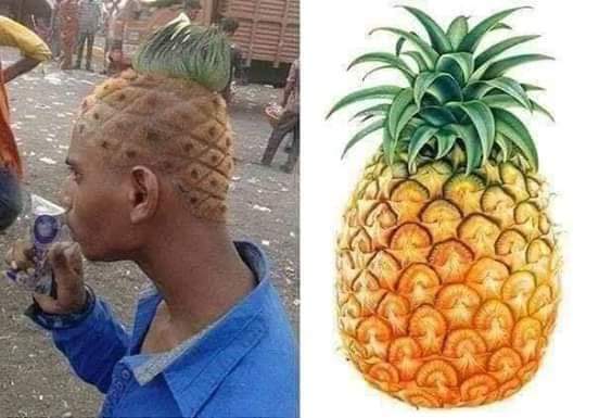 Model cukuran rambut paling lucu di dunia - LAPAK MOBIL DAN MOTOR BEKAS