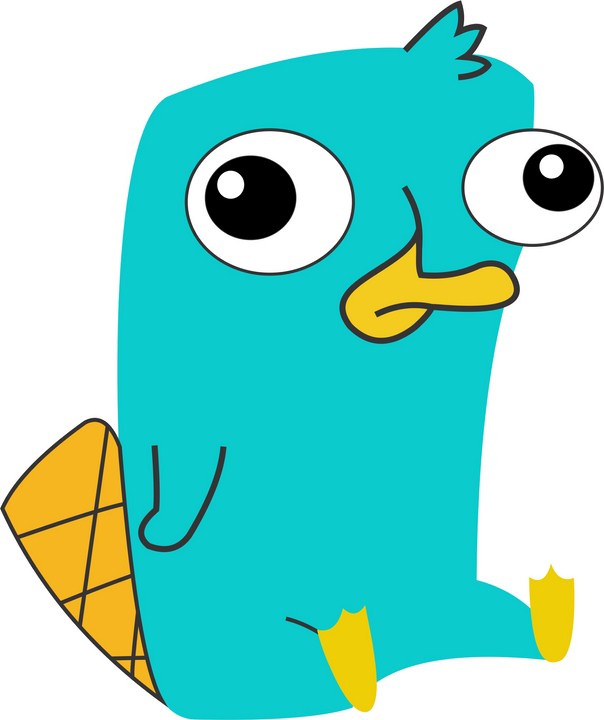 Imagenes de Perry bebé - Imagui