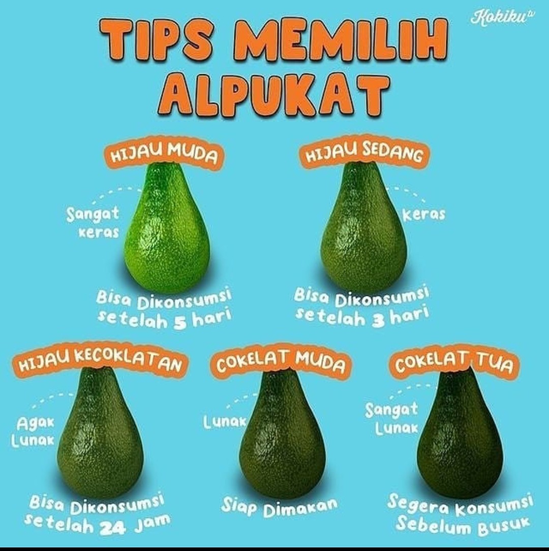 NaBook.Food: Bagaimana cara mengetahui alpukat matang?komplit tips ...