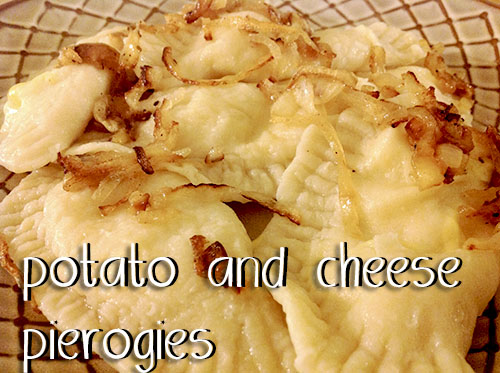 the dog mom: potato and cheese pierogies