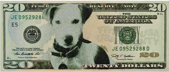 Terrierman's Daily Dose: How About a Terrier on the Back of the $10 Bill?