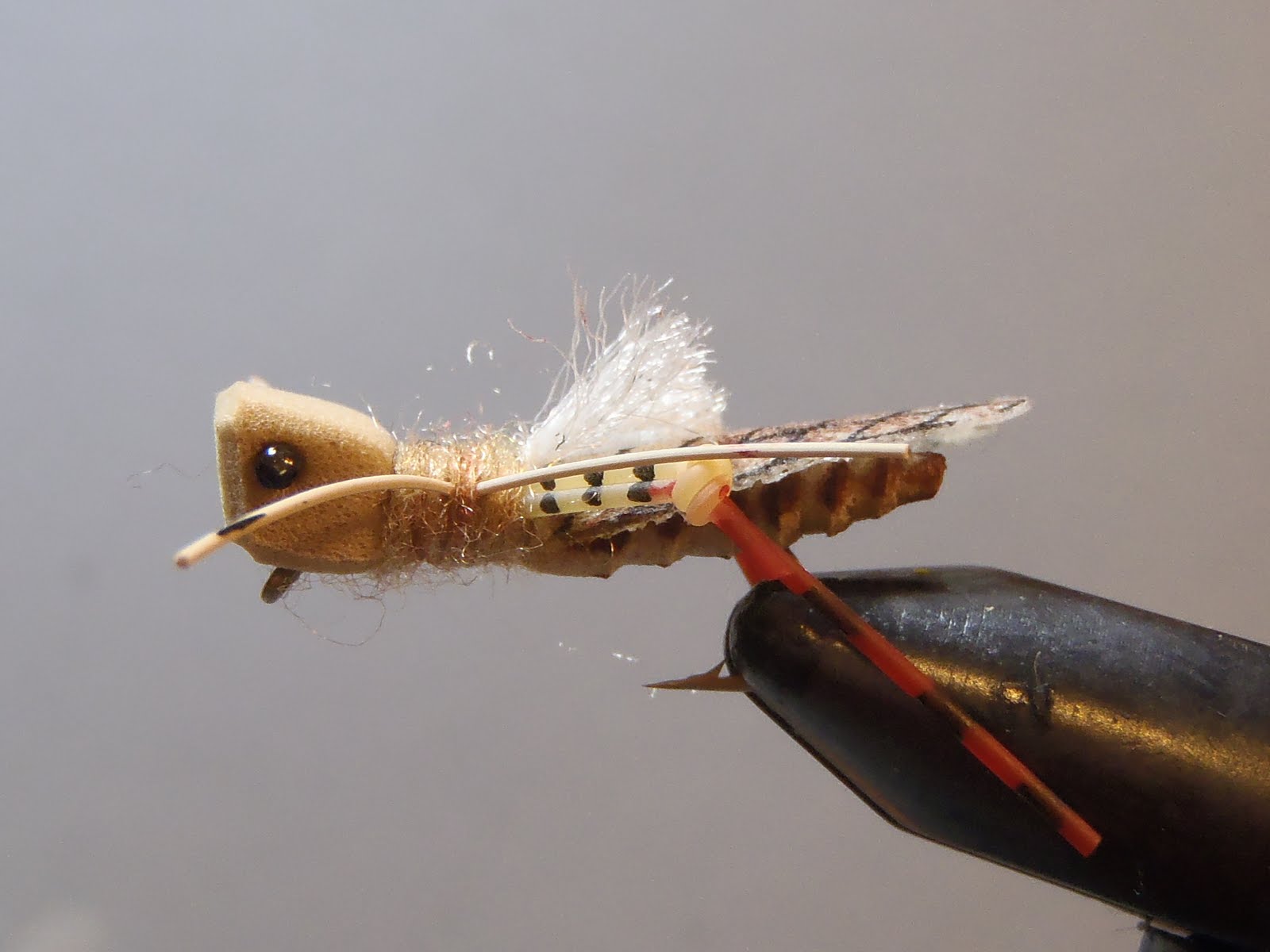 Mountains, Rivers, & Trout: How Many More Hopper Days Left?