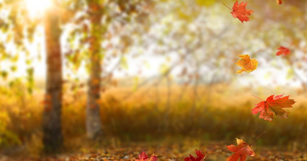 Fall-Tastic Events at the Lake of the Ozarks